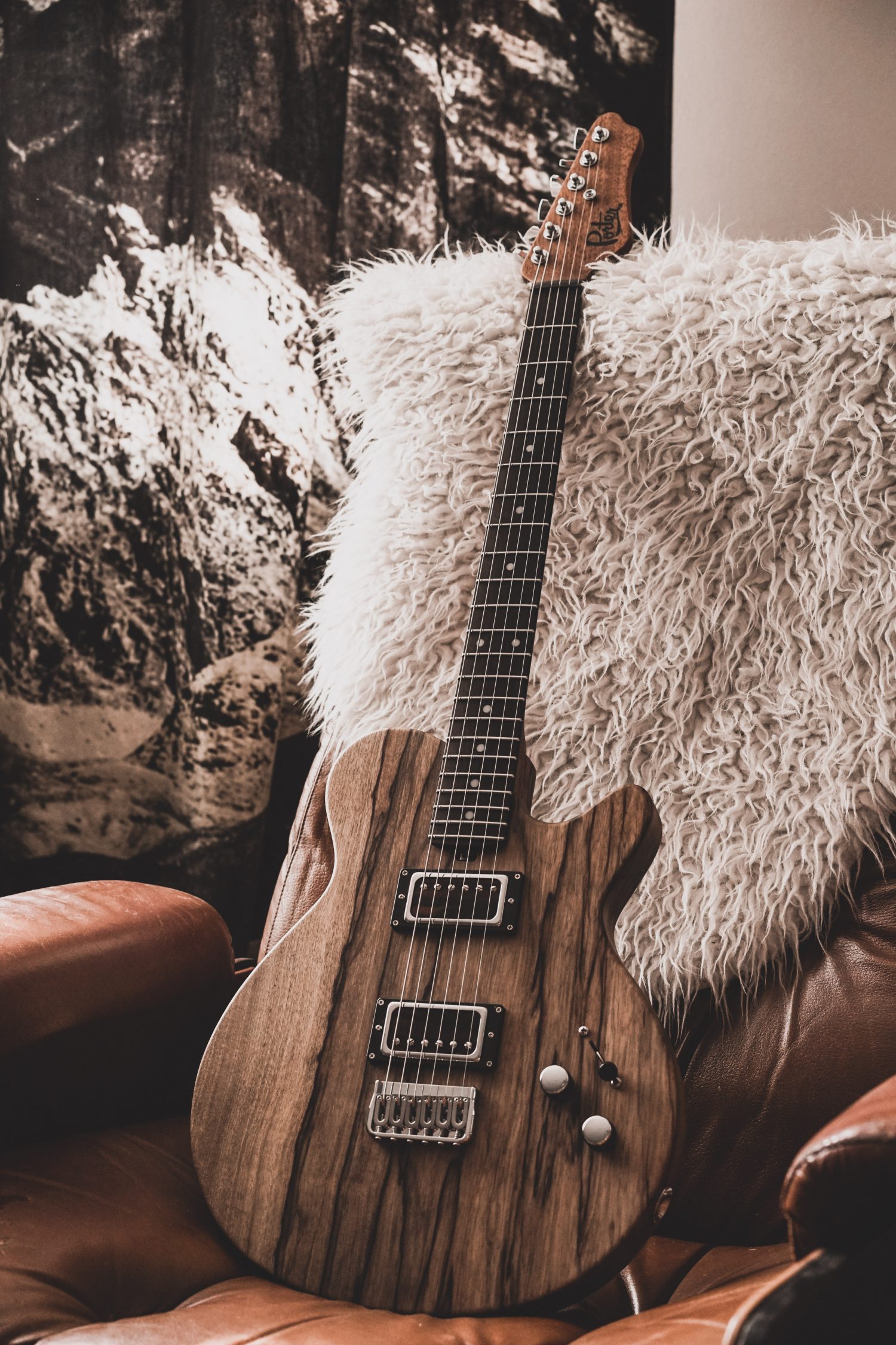 Les Bois | Porter Guitars